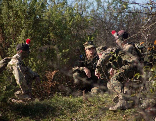 Na Manjači danas Dan visokih zvanica za vježbu 'Dinamičan odgovor 23-6/5'