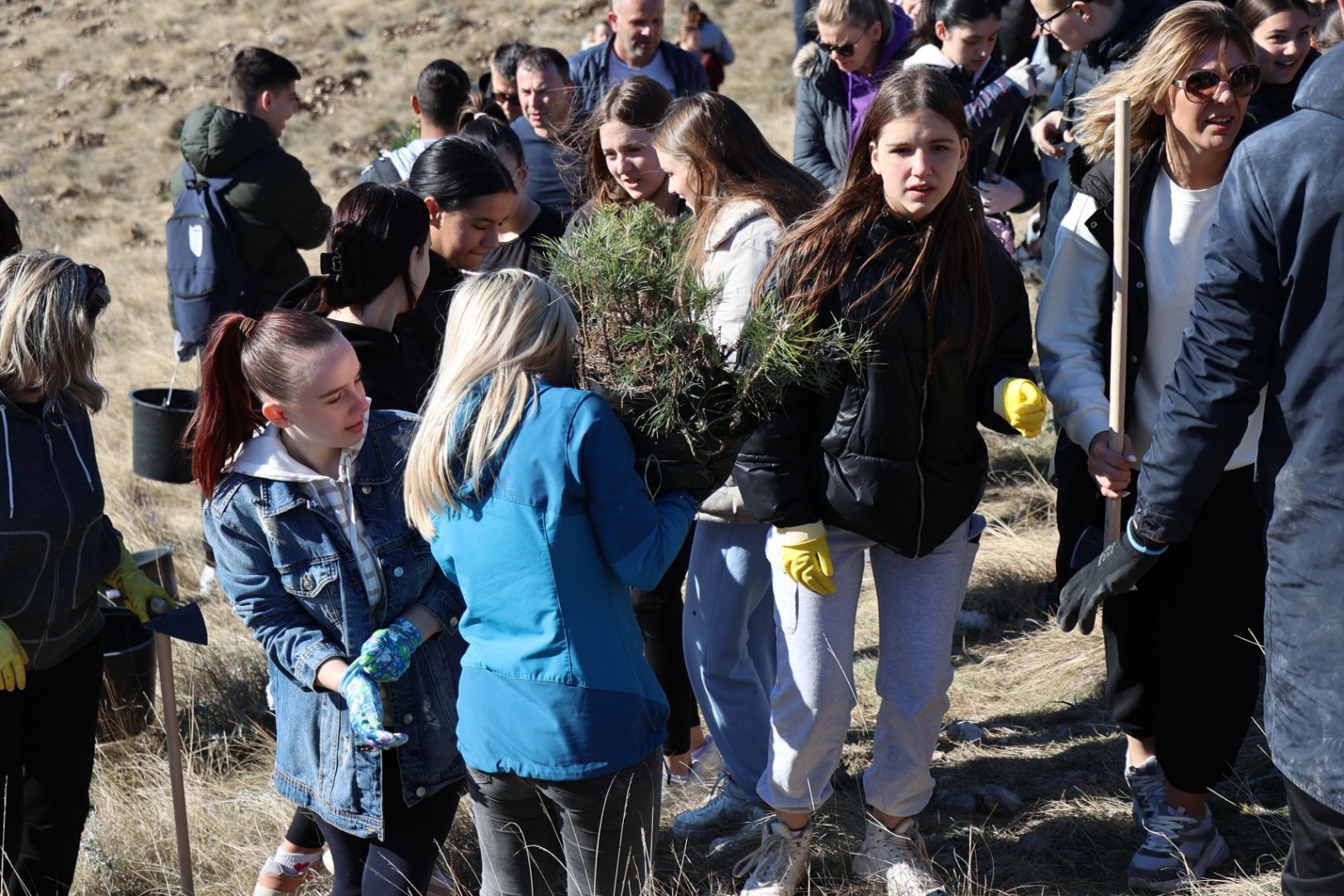 Video: Mostarski učenici posadili hiljadu sadnica crnog bora na Fortici