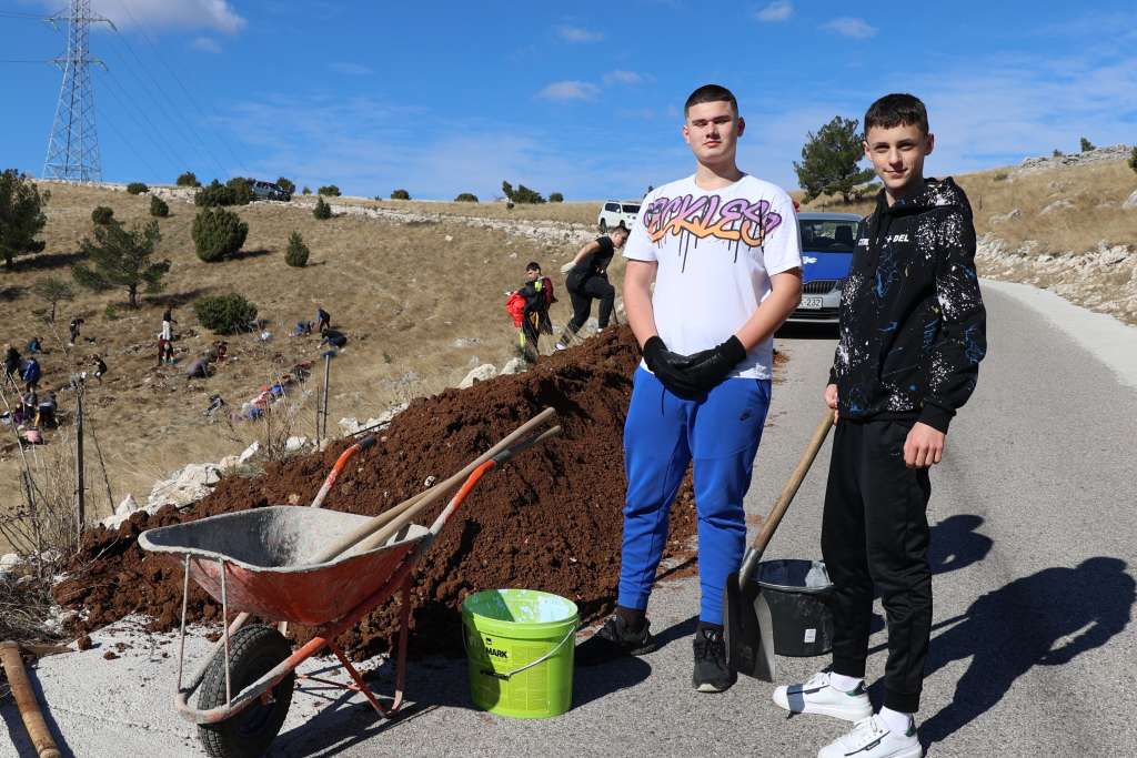 Video: Mostarski učenici posadili hiljadu sadnica crnog bora na Fortici